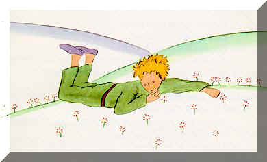 The Little Prince: Chapter 20